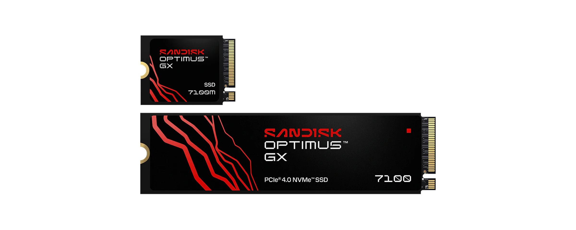 News Insights Details